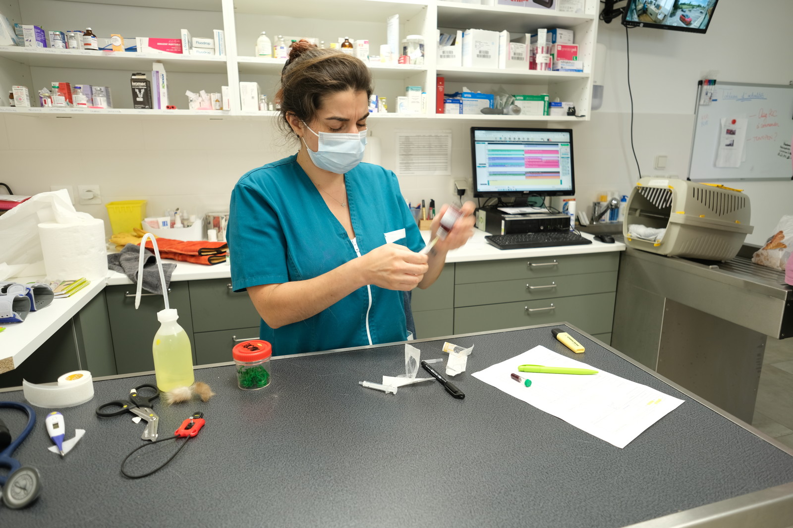 Le logiciel GmVet et ses fonctionnalités - GmVet